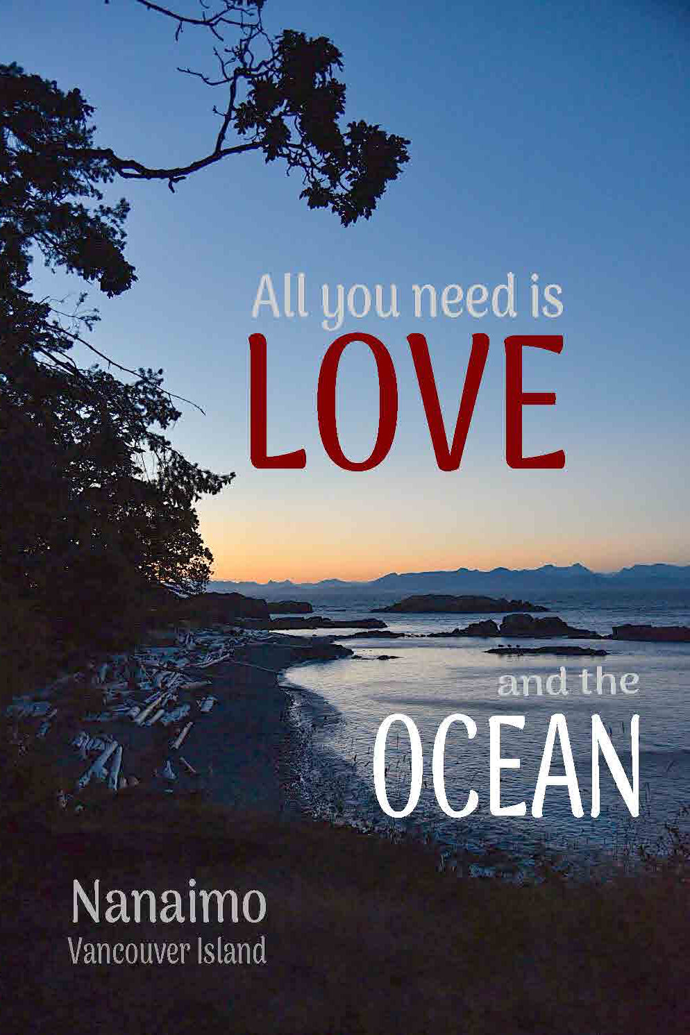 MN098 Love and the Ocean – VanIsleBrands