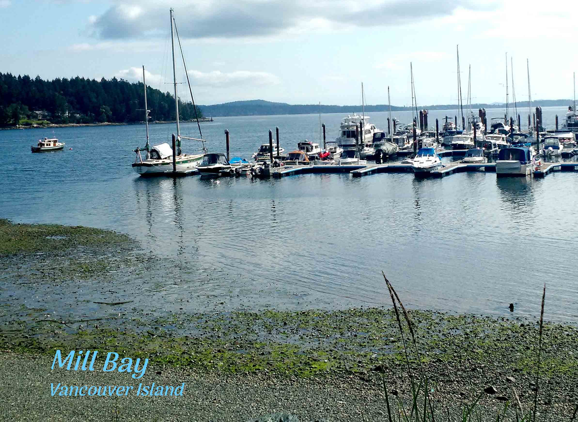 Mill Bay – VanIsleBrands