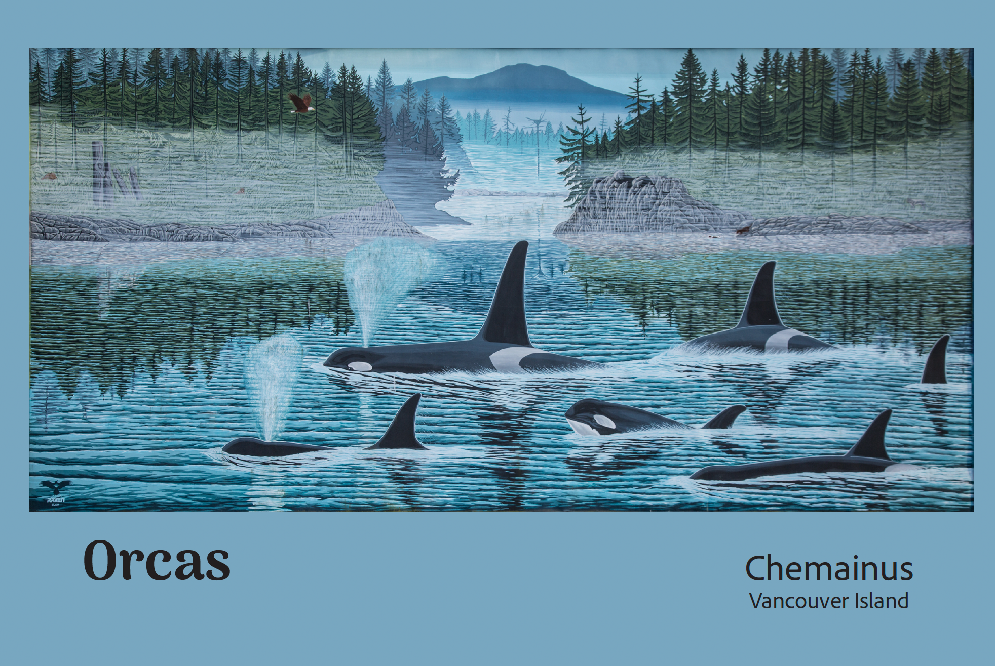 MP401 Orcas – VanIsleBrands