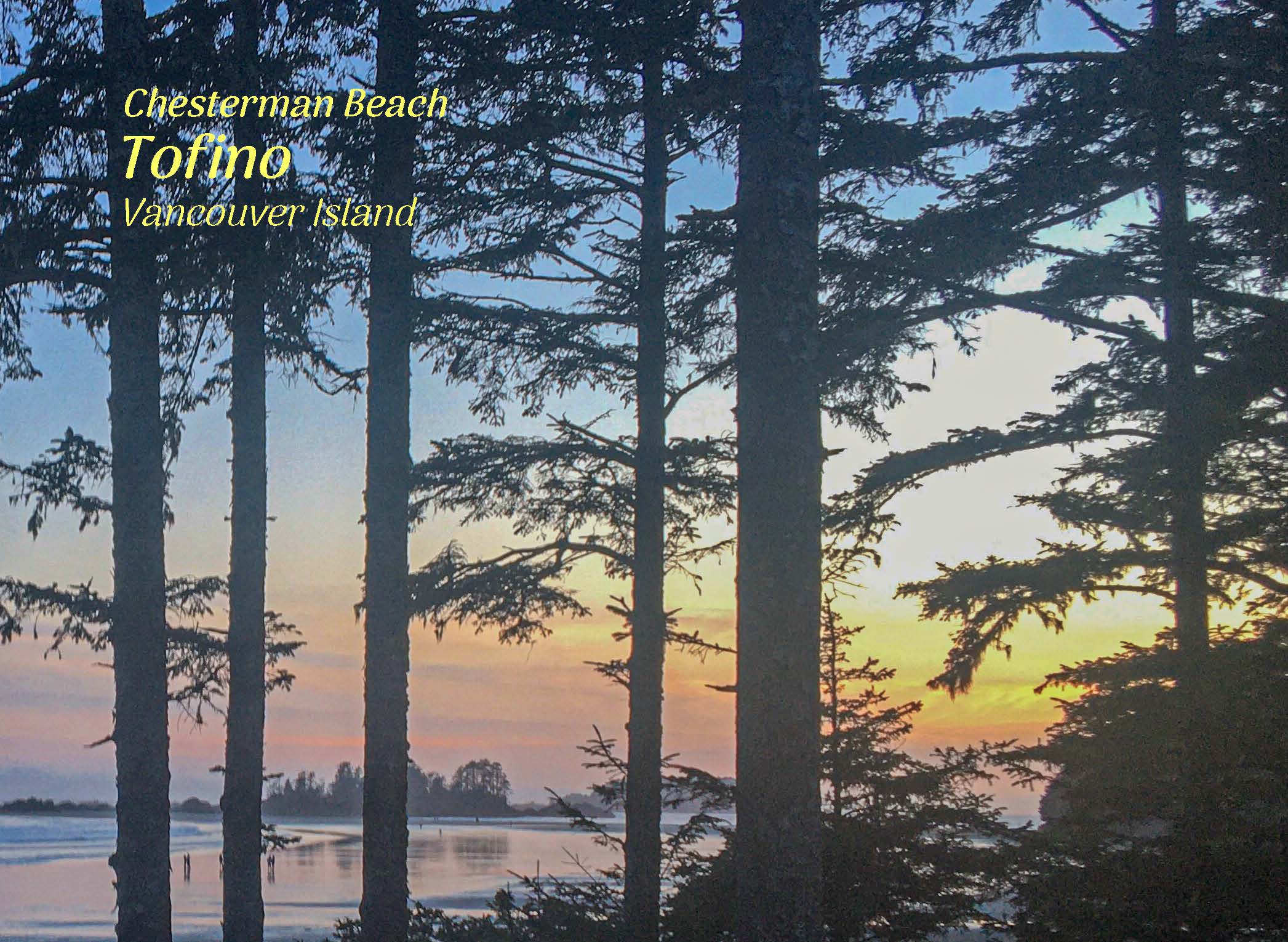 PC320 Chesterman Beach – VanIsleBrands