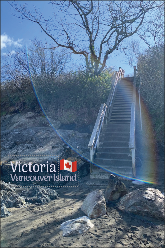 MS310 Gordon Point Beach – VanIsleBrands